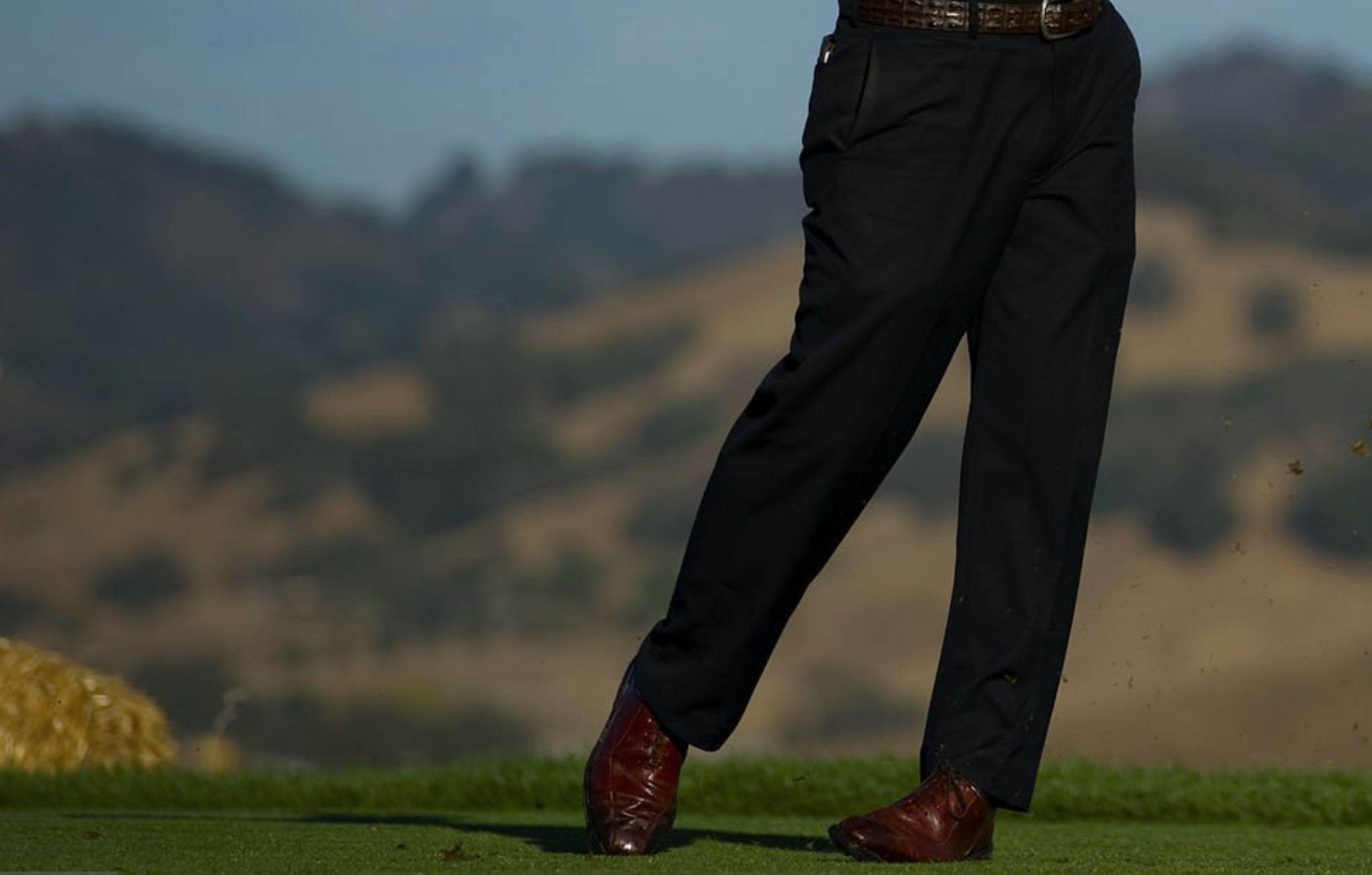 The Bus Driver - Gary Edwin Golf